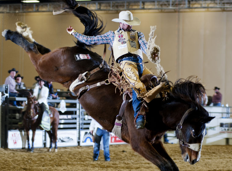 Horse takes bow, then takes cowboy to rodeo title | Sports ...
