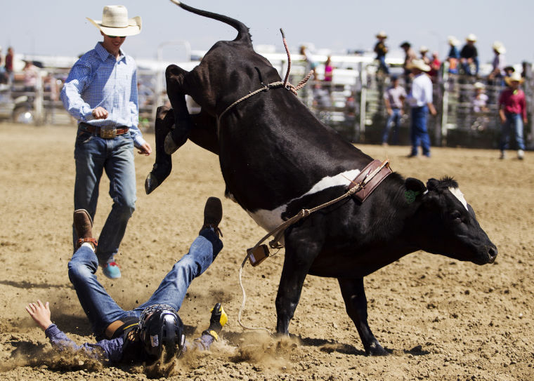 The usual, and unusual, Jesus Little Levi events bring smiles | Rodeo ...