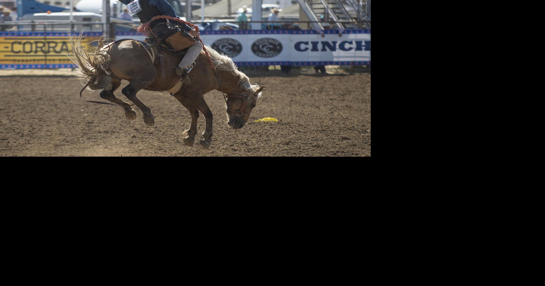 NHSFR results: Seventh rodeo performance | Nhsfr | gillettenewsrecord.com