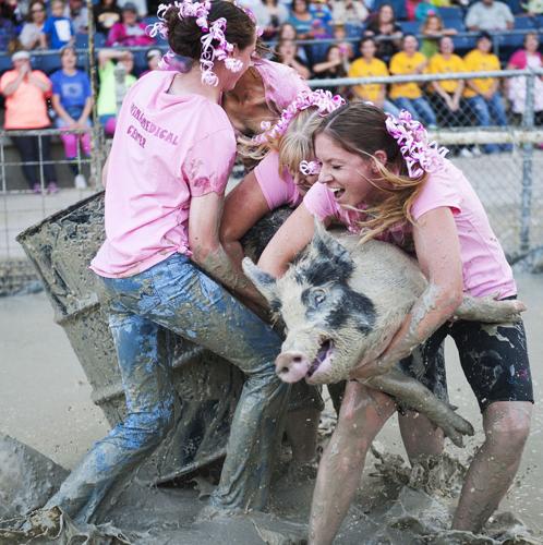 Pig Wrestling | | gillettenewsrecord.com