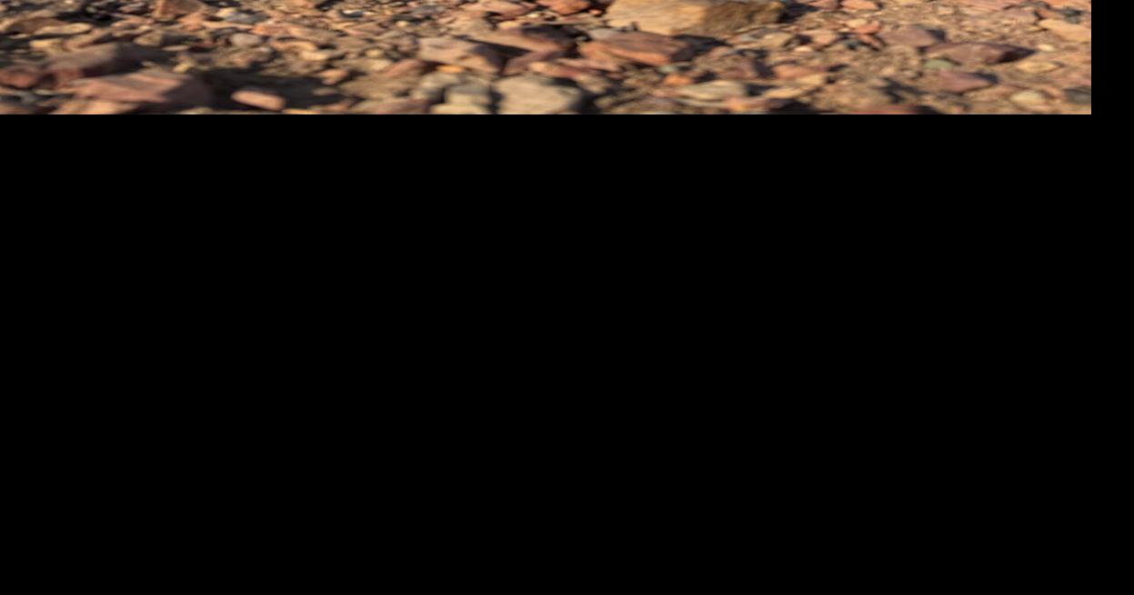 Visionary Broadband has delivered fiber internet to more than 10,000 ...