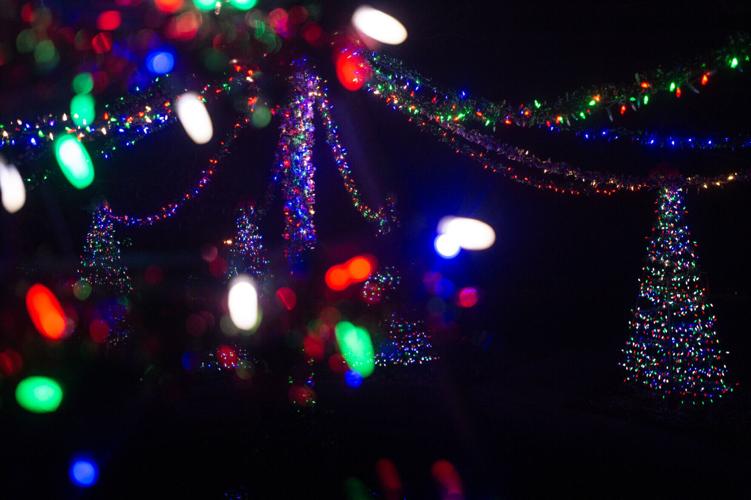 New foundation has big plans for the Festival of Lights in coming years ...