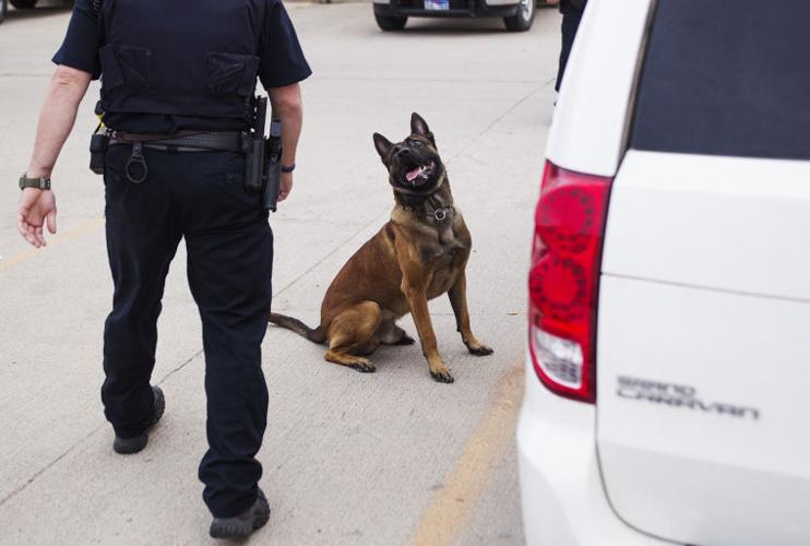 Remembering retired police dog, Duke | Local News | gillettenewsrecord.com