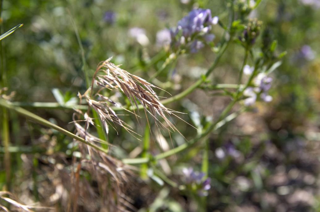 gillettenewsrecord.com | Watching out for you since 1904