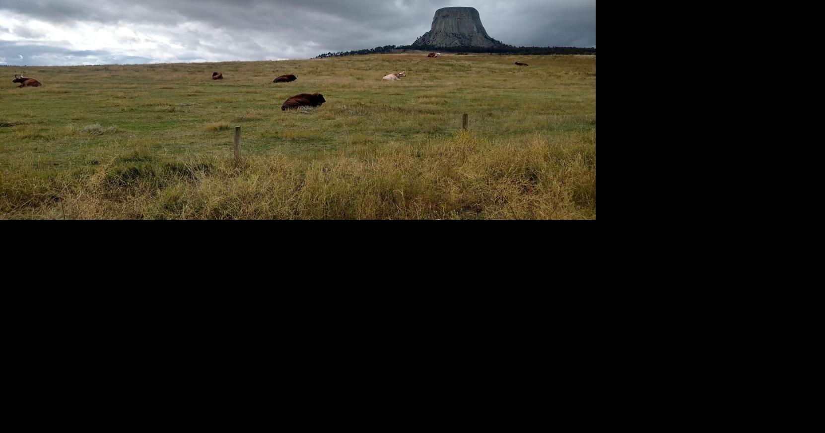 Wisconsin climber fell to his death at Devils Tower Sunday | Wyoming ...