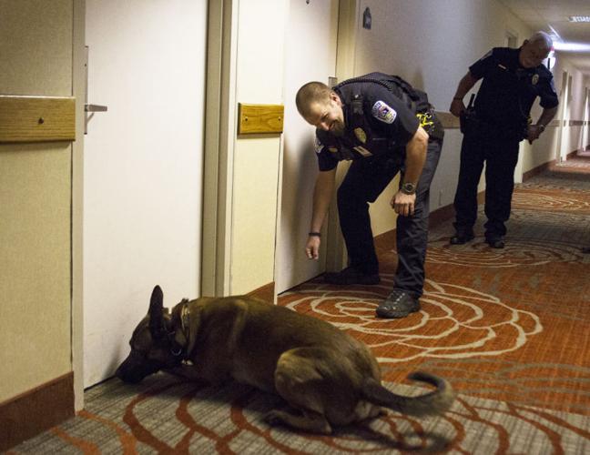 Remembering retired police dog, Duke | Local News | gillettenewsrecord.com