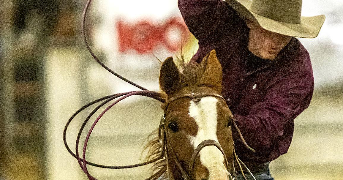 Local riders succeed in 2019 Gillette High School Rodeo | Rodeo ...