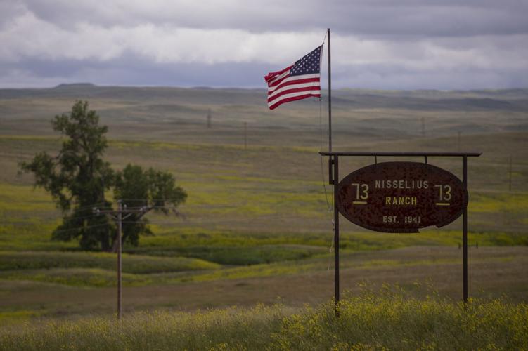 State's proposed sage grouse protections anger local ranchers | Local ...
