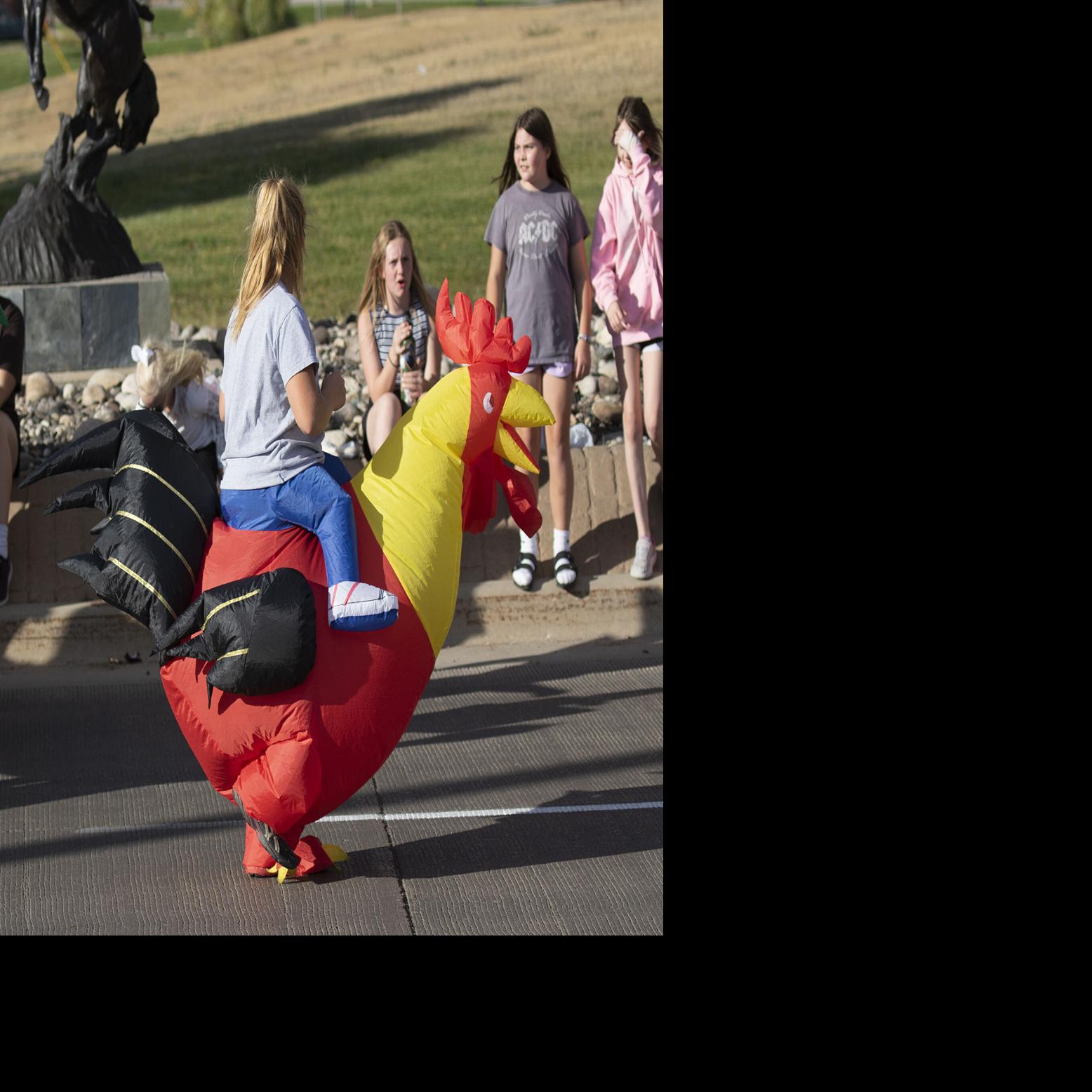 Michael Montano changes plea in murder case, admits killing Brewer ...