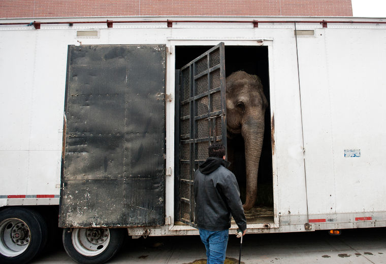 Shrine Circus | Featured | gillettenewsrecord.com