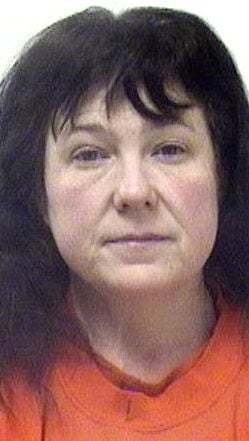 Woman charged with theft from youth baseball league | Local News ...