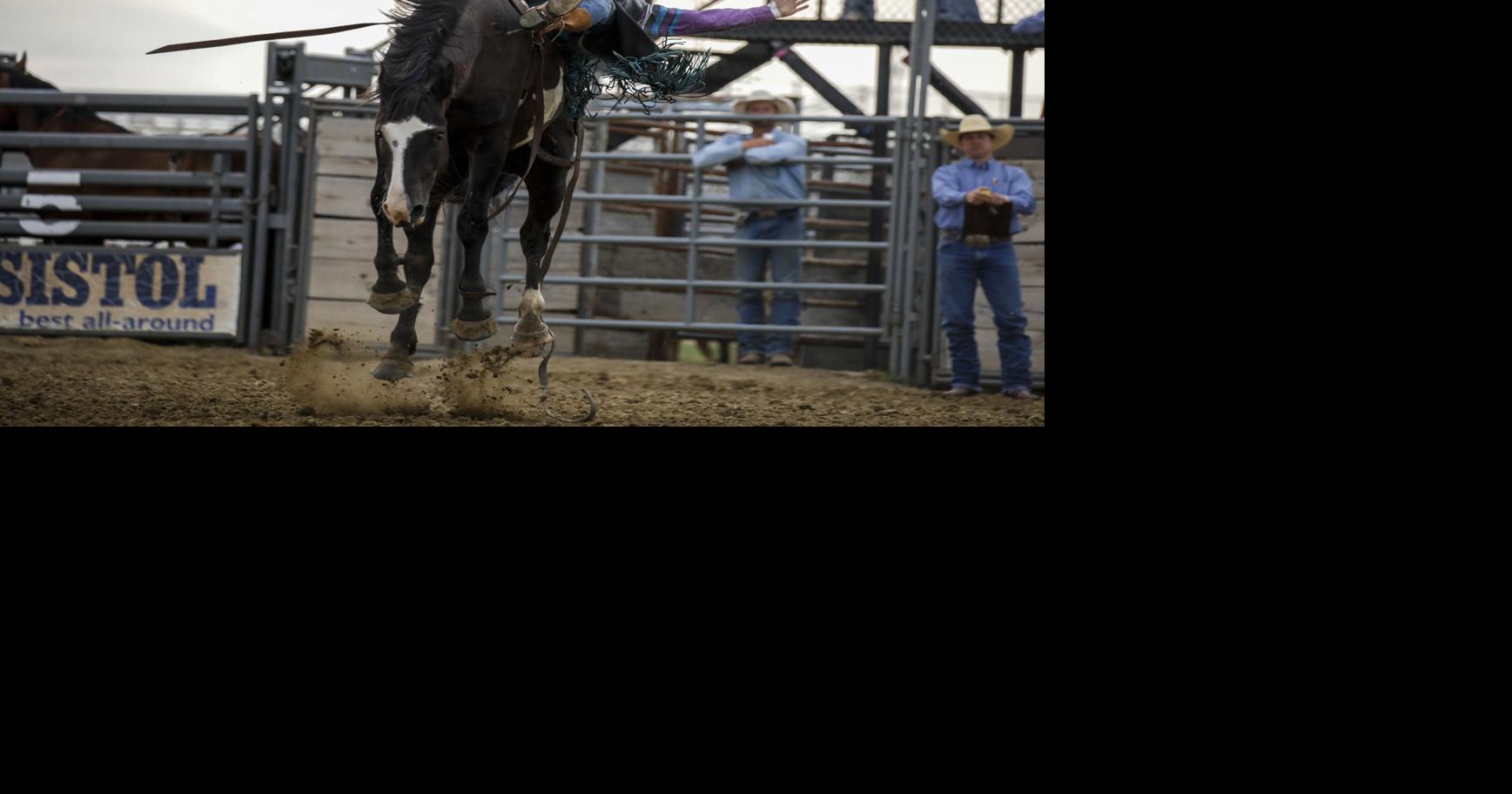 Ranch Rodeo | | gillettenewsrecord.com
