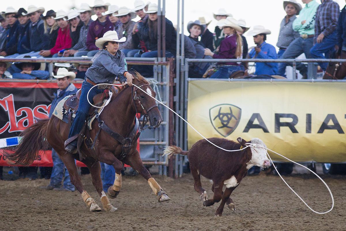 Louisiana cowboy sets high standard in steer wrestling | Nhsfr ...