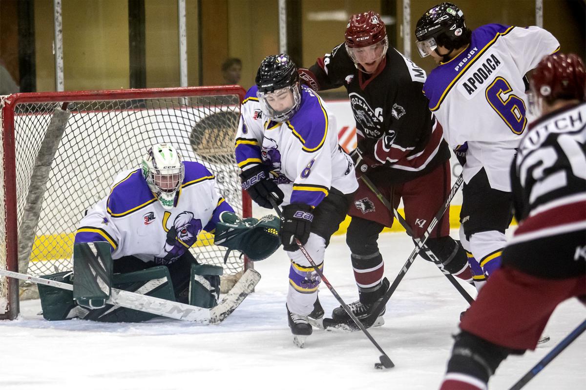 Bozeman Icedogs come back in third to defeat Wild 6-3 | Local ...
