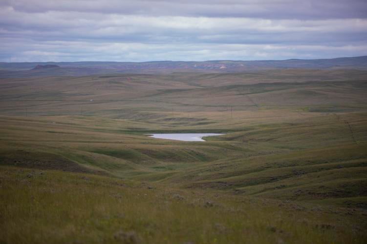 State's proposed sage grouse protections anger local ranchers | Local ...