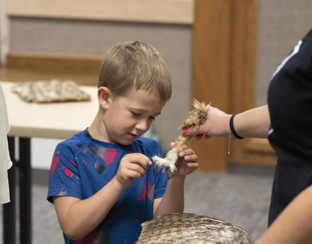 Birds of prey swoop in for a library visit | Local News ...