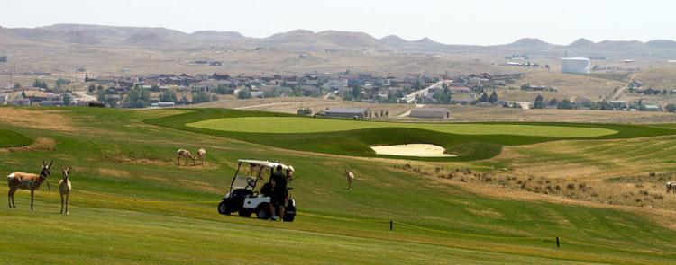 Bell Nob Golf Course continues efforts to beautify course | Sports ...