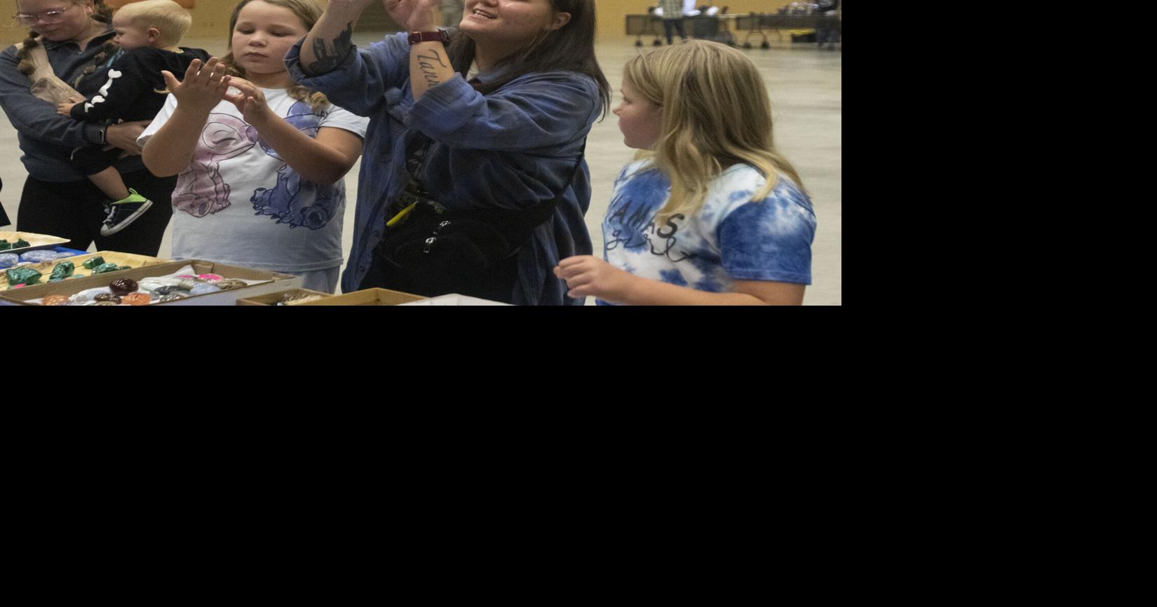 Leave no stone unturned at ninth annual rock show | Local News ...