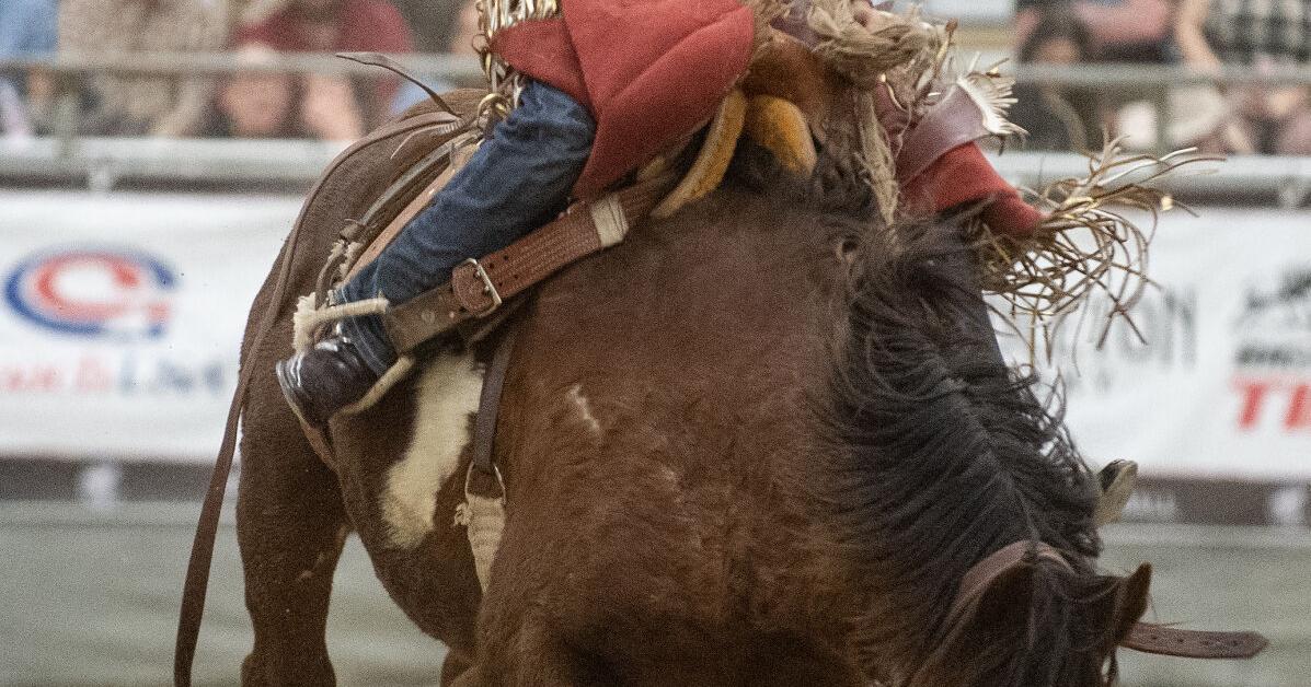 Buck & Ball Rodeo | | gillettenewsrecord.com