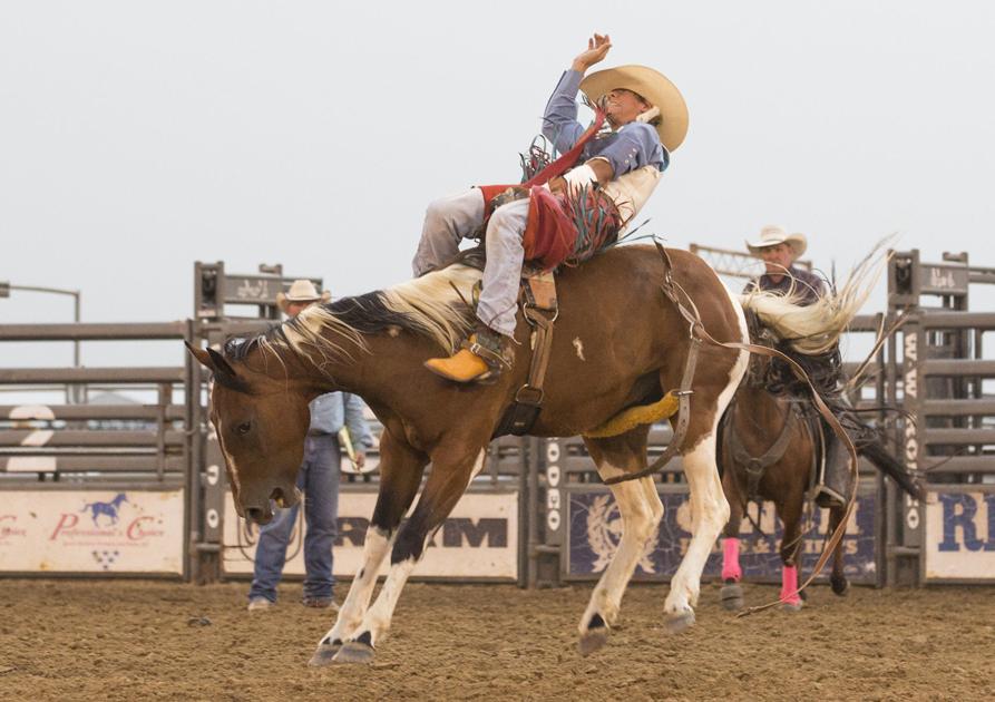 Rourke Ranch wins Ranch Rodeo at Campbell County Fair | Sports ...