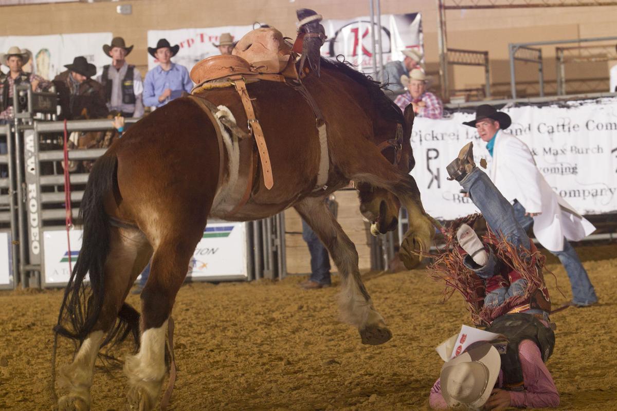 Bobby's night: Bobby Welsh, Vezain and Wright win Buck & Ball rodeo ...