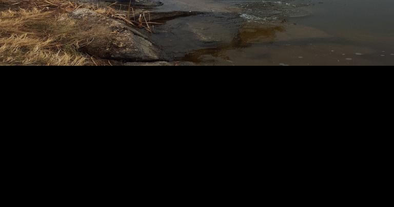 270 brown trout stocked in Gillette Fishing Lake for anglers | Local ...