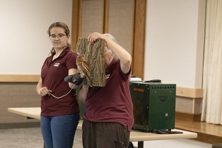 Birds of prey swoop in for a library visit | Local News ...