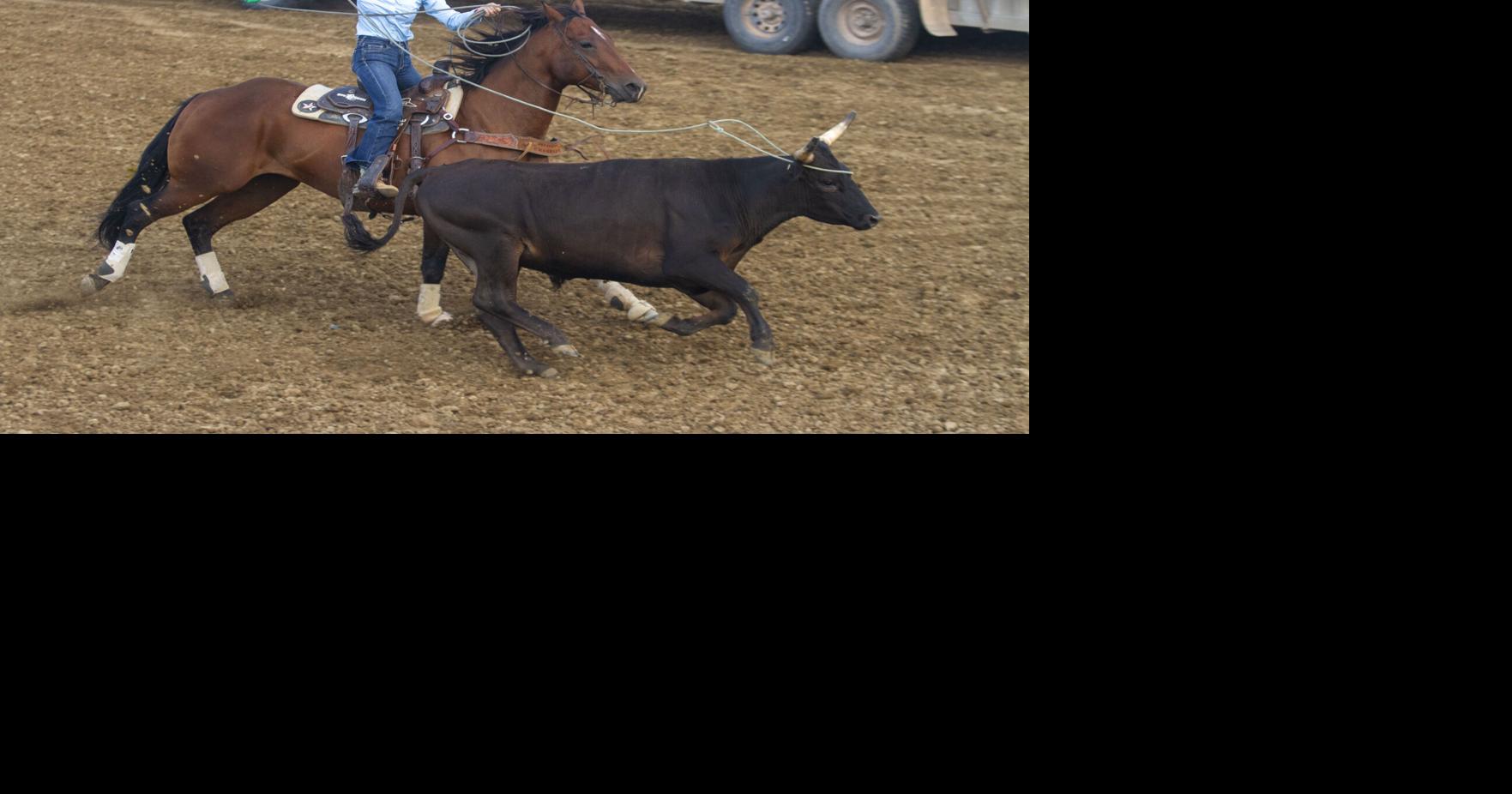 Ranch Rodeo | Local | gillettenewsrecord.com