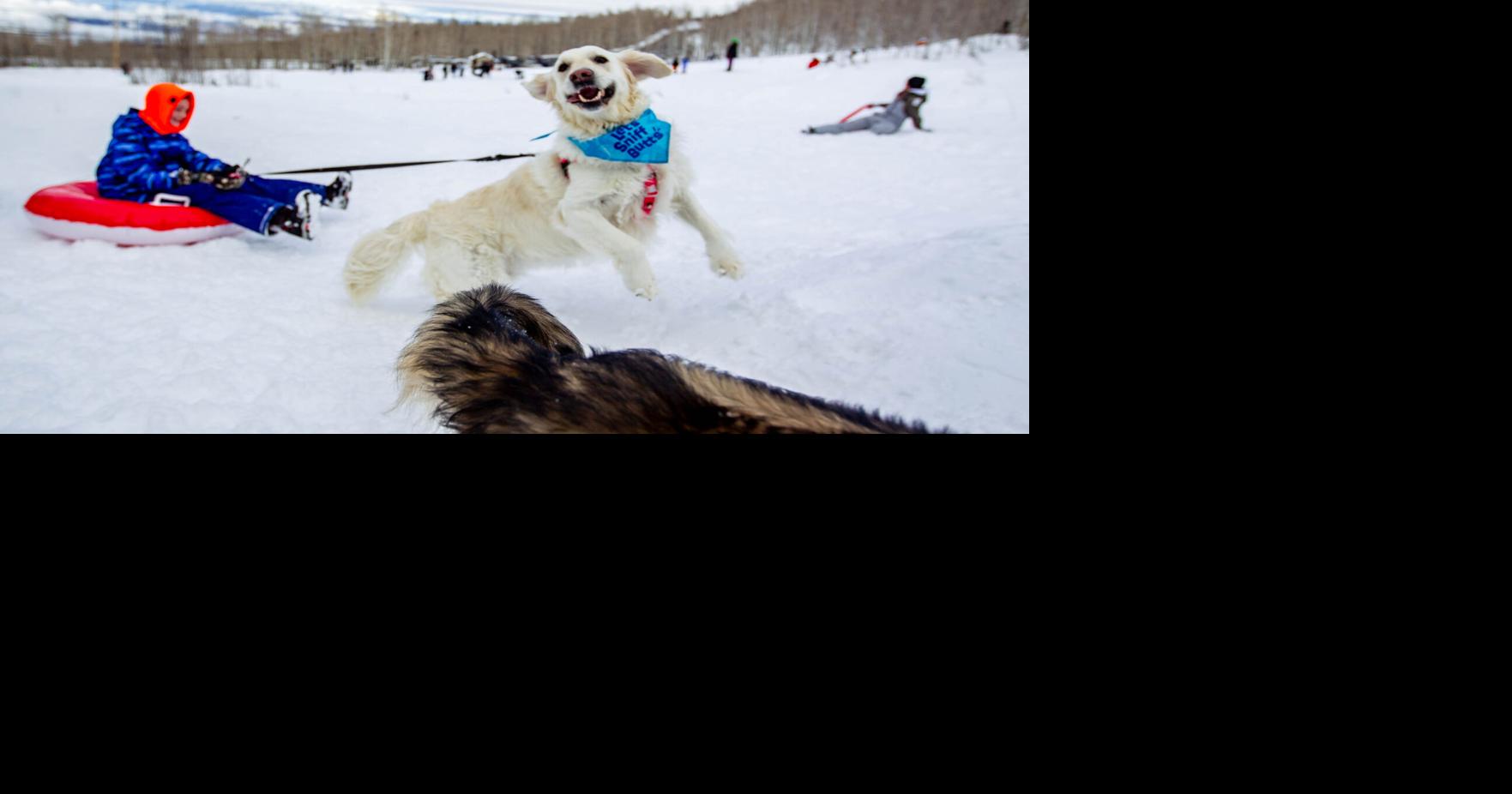 A day of sledding | Lifestyle | gjsentinel.com