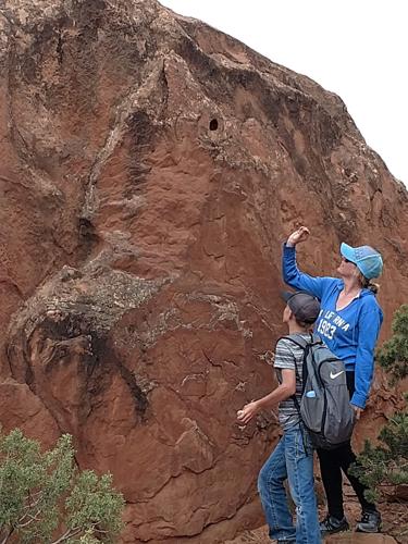 Rocks, dinosaur bones and sea fossils: Exploring our local geology ...