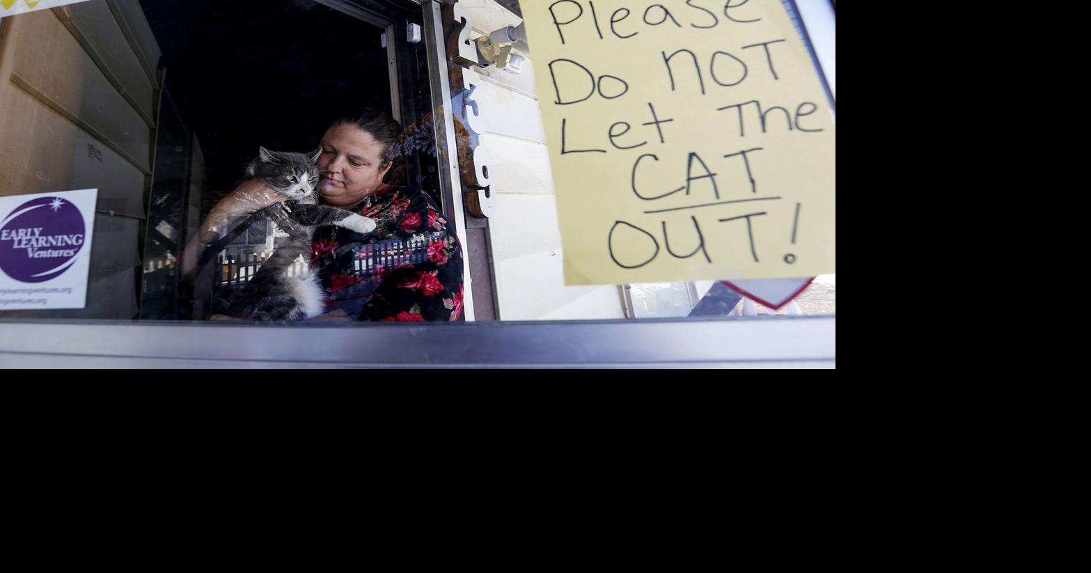 Woman says neighbor trapped her pet, dumped him | Western Colorado ...
