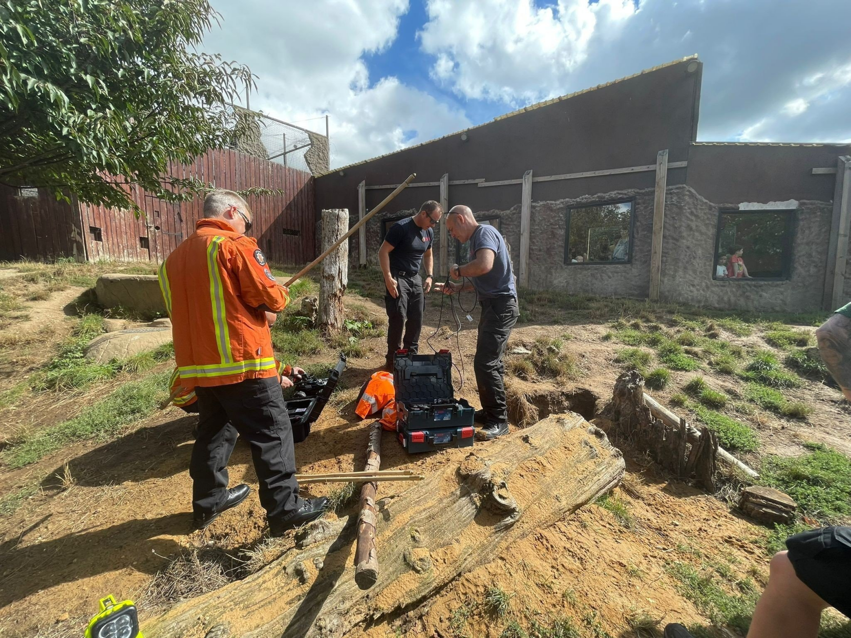 Fire crews responds to zoo after wolves dig through enclosure ...