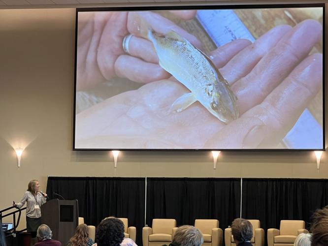 House passes Boebert-sponsored bill extending endangered fish programs ...