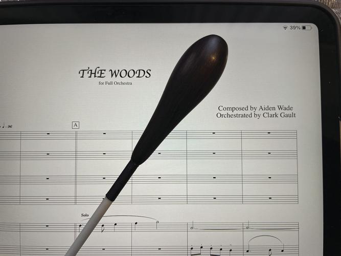 Eighth-grade violinist wins symphony's Crystal Baton contest | Western ...