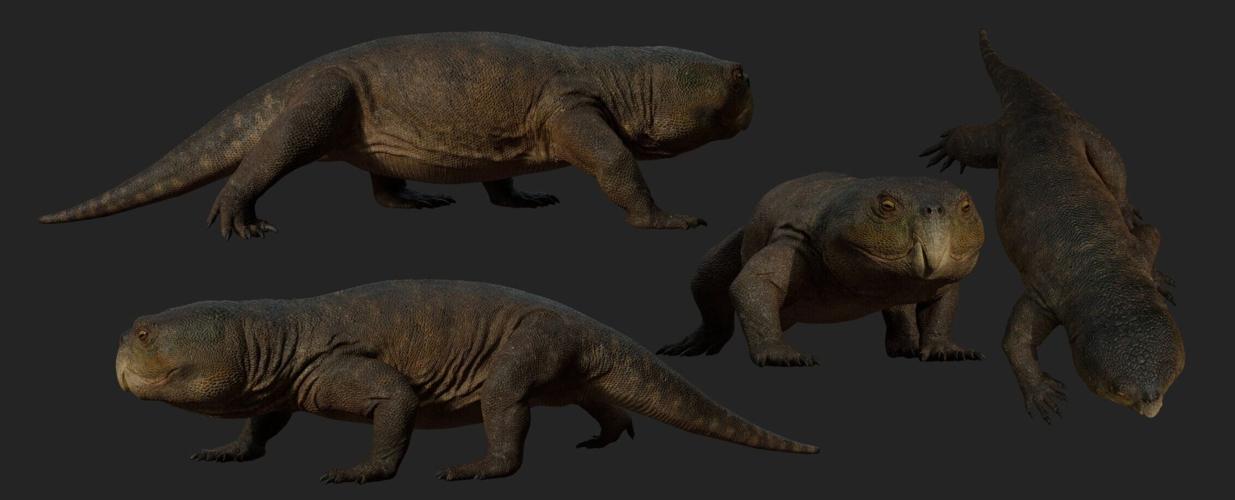 ‘Parrot-beaked’ reptile found in Brazil may have Scottish cousins ...
