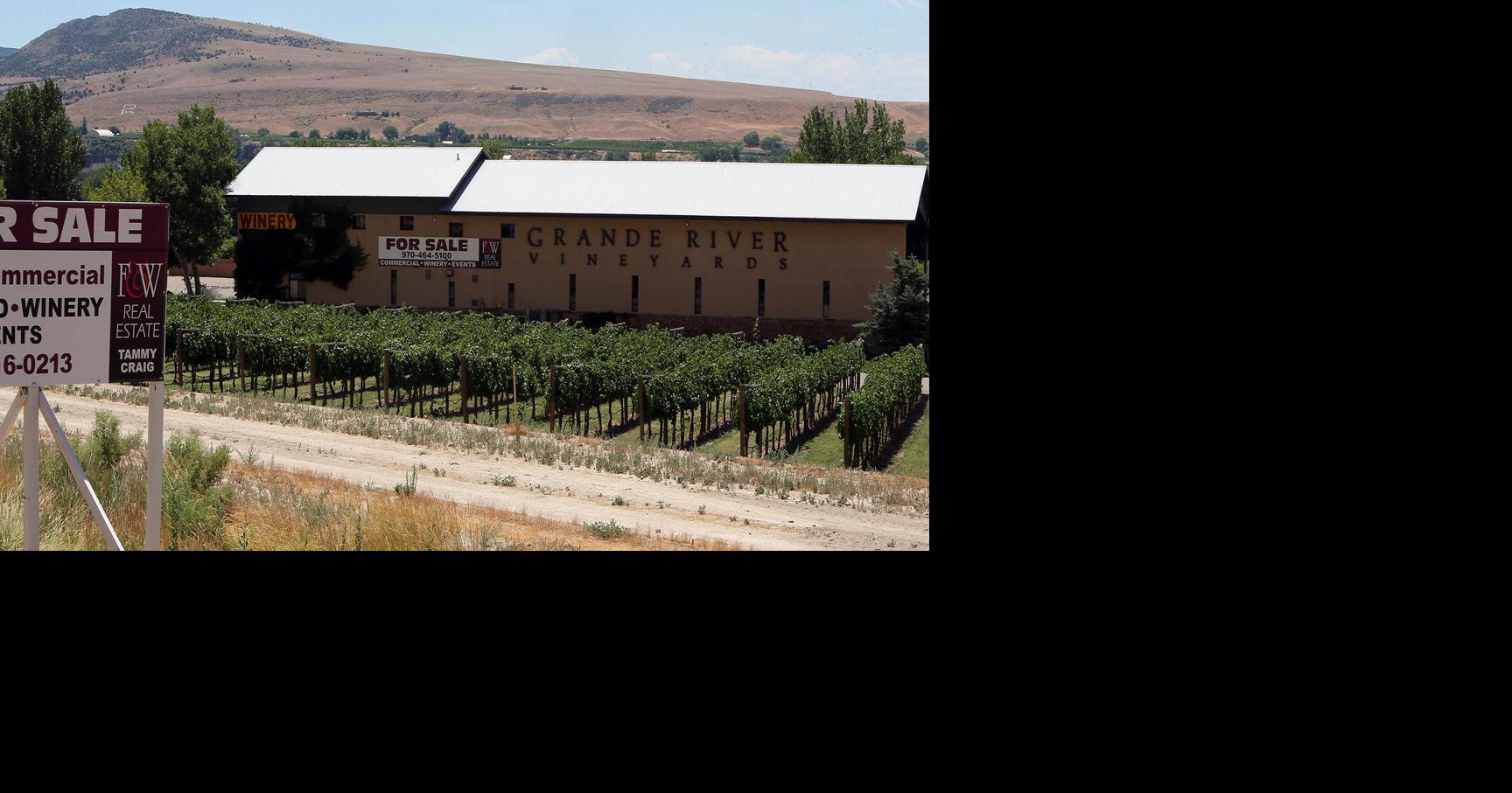 Grande River Vineyards for sale, after 33 years helping shape the state ...