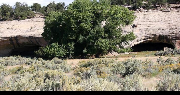 History of Glade Park 'cave woman' a complicated tale | Western Colorado | gjsentinel.com