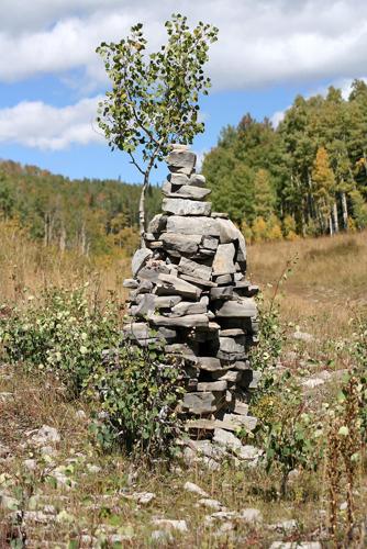 forest rock formations