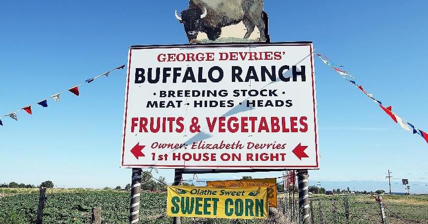 Buffalo ranch a mainstay in Olathe's agricultural heritage | Food ...