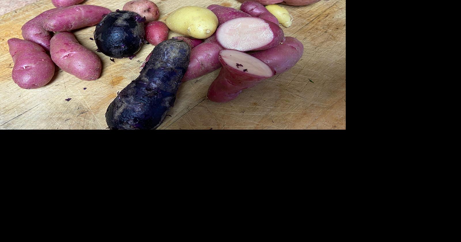 Eat Your Yard: Pink potatoes are the pride of this year's garden | Home ...