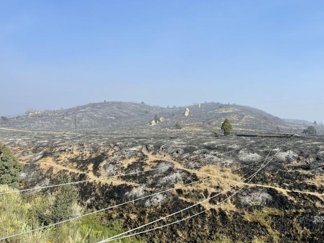 ‘It smacked us pretty good’: Utility reeling from fires hopes for FEMA ...