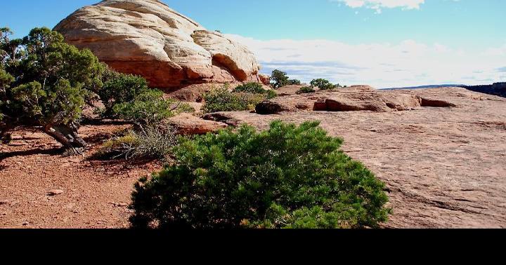 Liberty Cap Trail the perfect place to see fall during hunting season ...