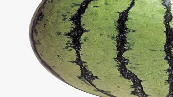 cucurbitaceous fruit