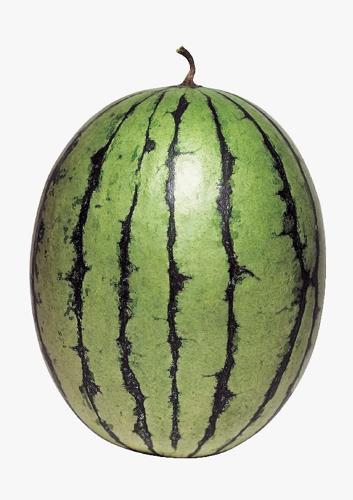 cucurbitaceous fruit