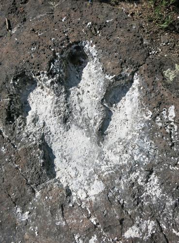 dinosaur tracks moab