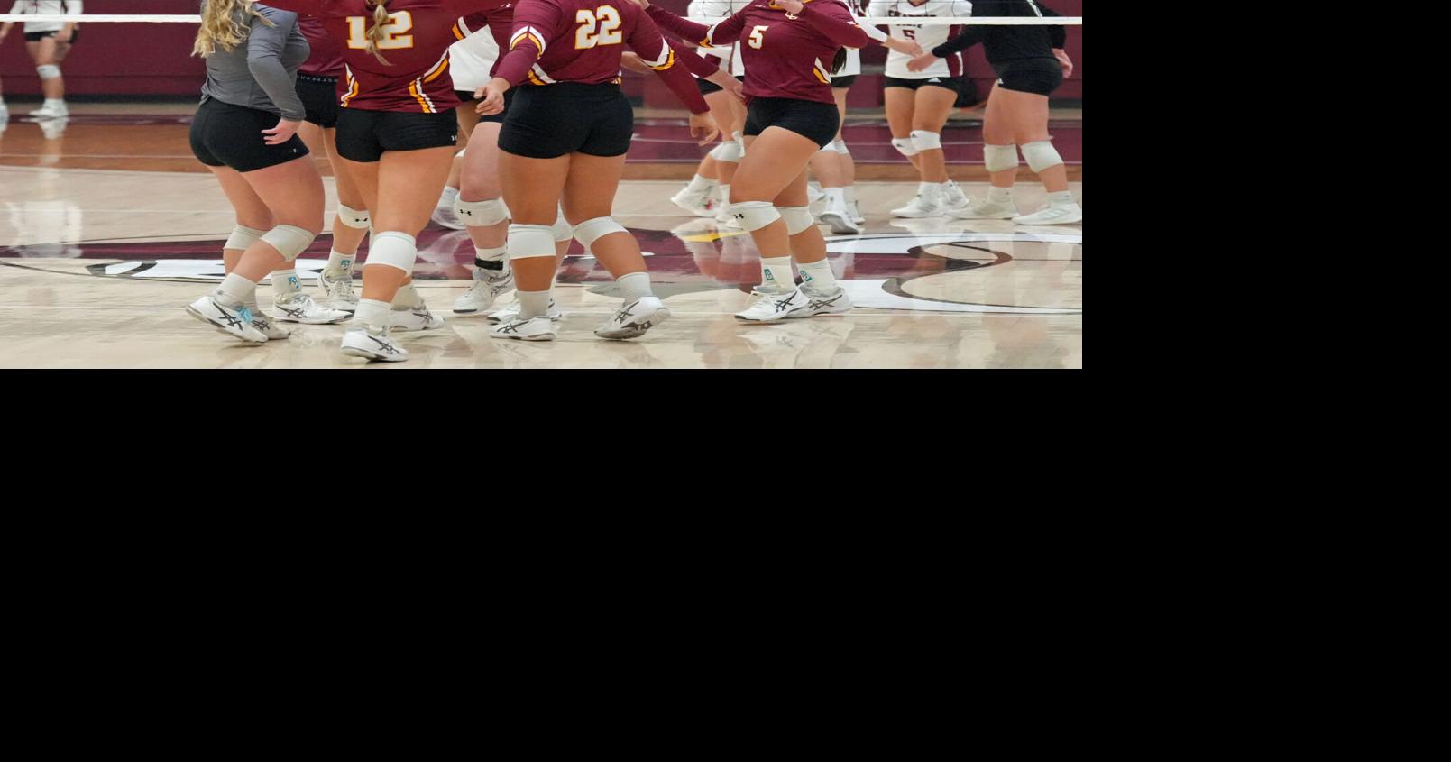 Mavs reach regional volleyball tournament | Sports | gjsentinel.com