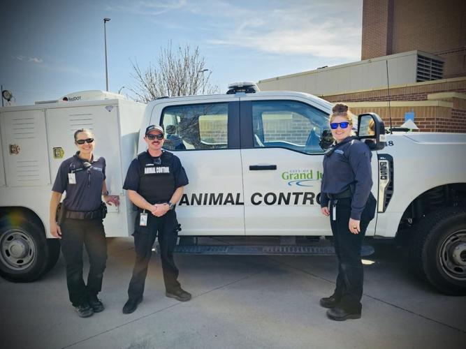 GJ animal control unit looks back on first year of service | Western ...