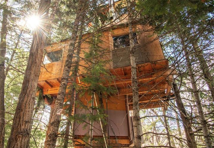 Pitkin County sues treehouse dweller over alleged land-use violations ...