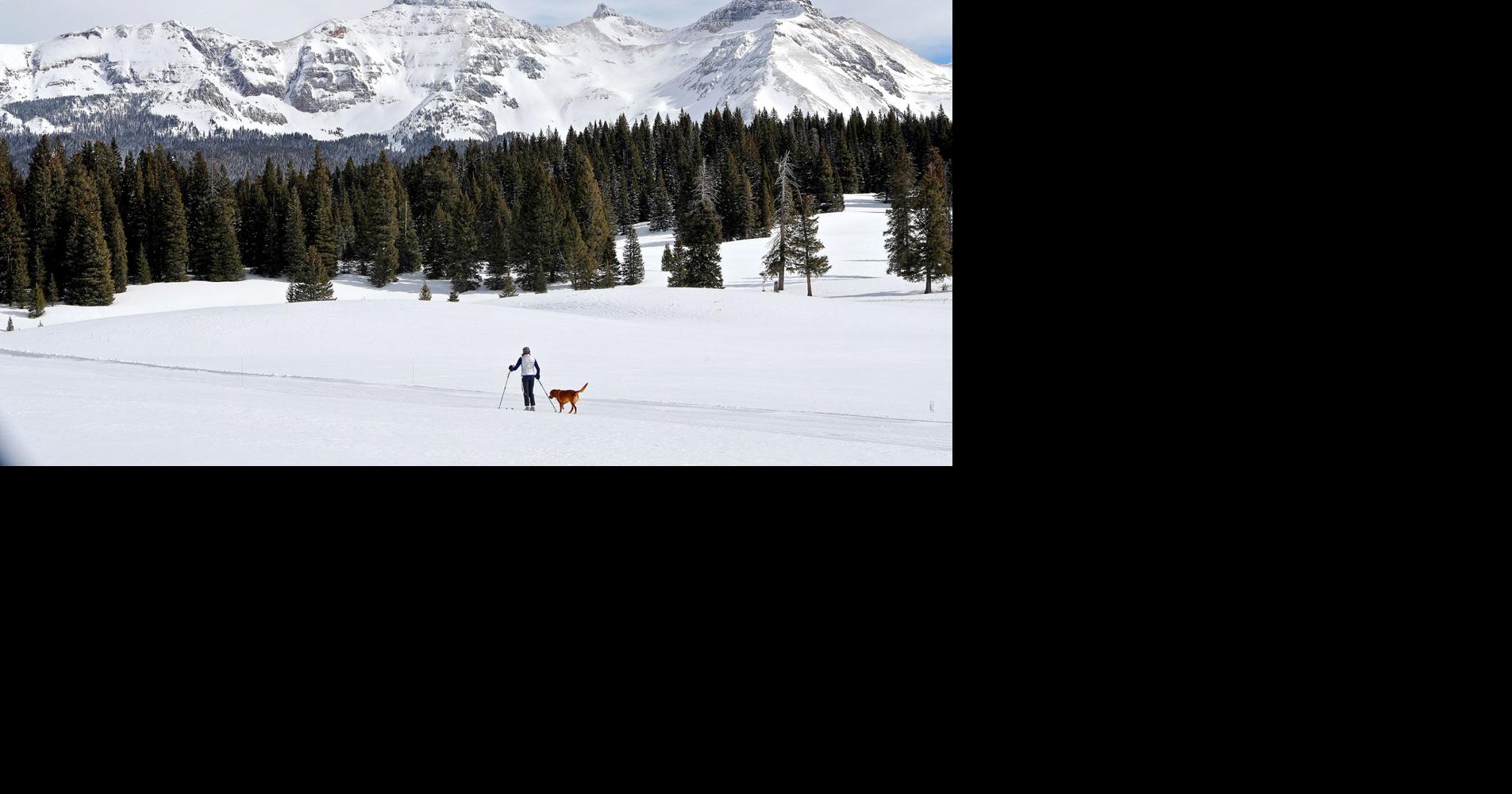 Nature-deficit disorder and the alarming effects on children | Western ...