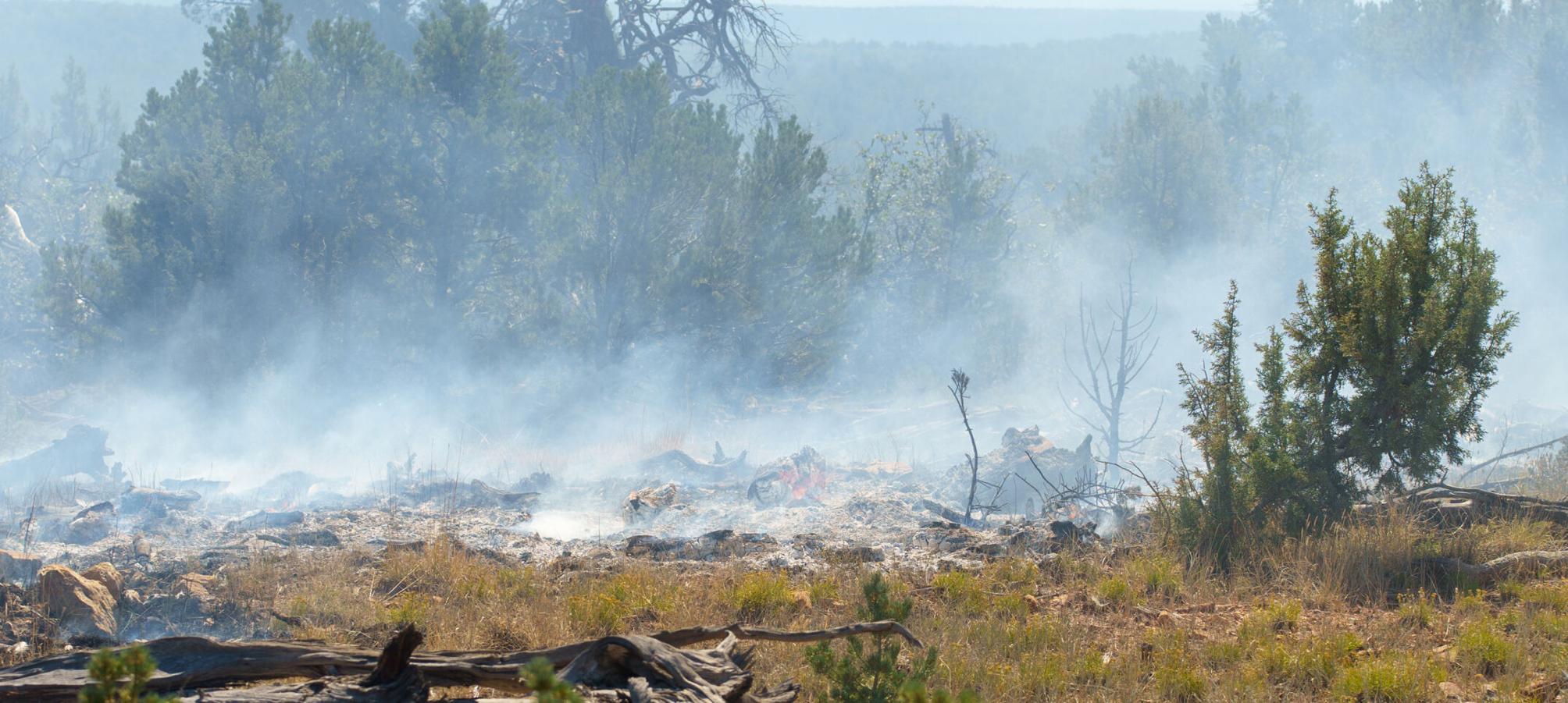 BLM happy with results of managed wildfire | News | gjsentinel.com